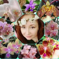Татьяна Семёнова ОрхоголичкаTV Аватар автора