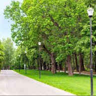 Sofrino Park Аватар автора