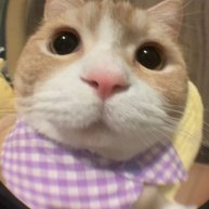 huffyss Аватар автора