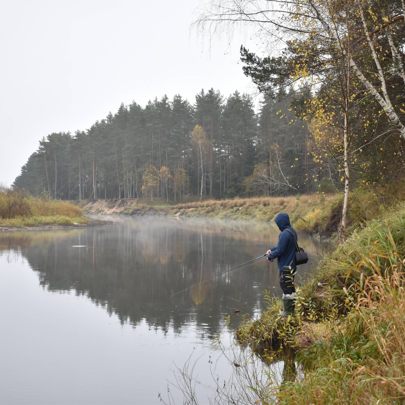 Бородатая жизнь Аватар автора