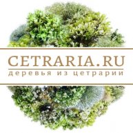 Cetraria Аватар автора