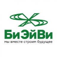 БИЭЙВИ - ДОРОЖНО-СТРОИТЕЛЬНАЯ ТЕХНИКА И ТЕХНОЛОГИИ Аватар автора