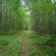 Василий Фоменков Аватар автора