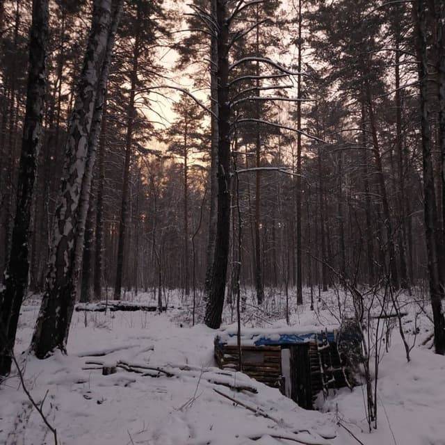 Землянки Андрея Николаева Аватар автора