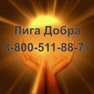 Волонтёрское движение  Аватар автора