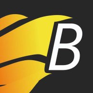 B-FIRE Гриль Аватар автора