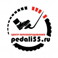 ПЕДАЛИ 55 Аватар автора