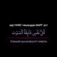 Али 61 Аватар автора