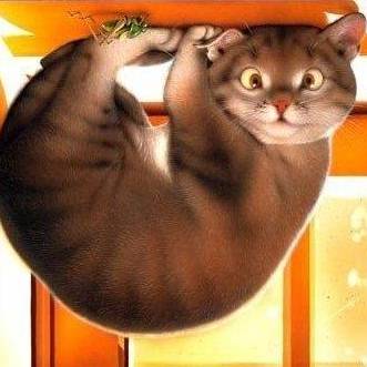 channel25449768 Аватар автора