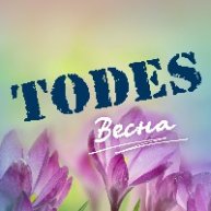 TODES Аватар автора