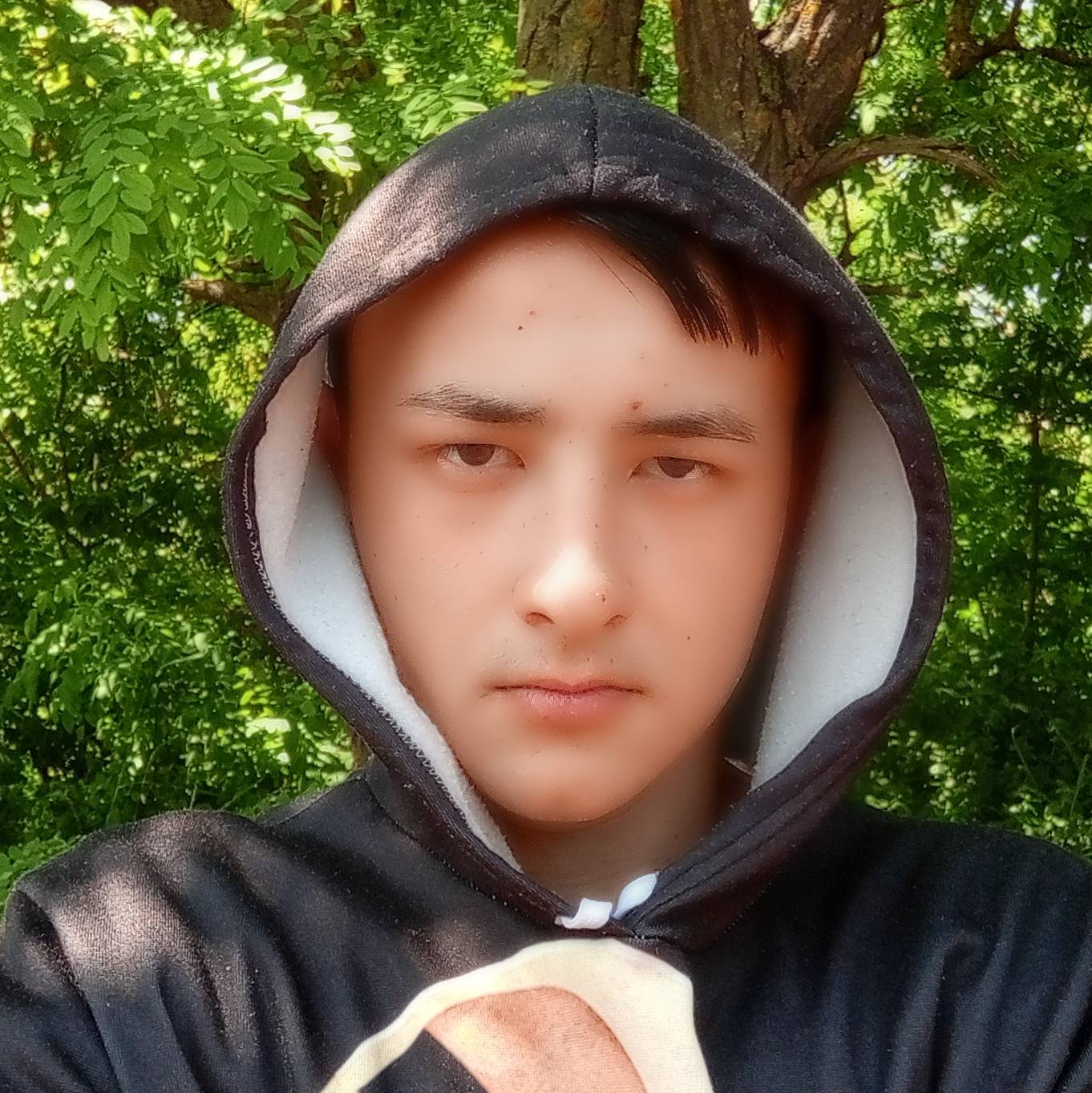 ЭМСИ НОРИК