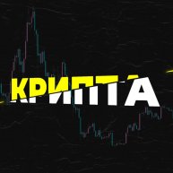 T365 Крипта Аватар автора
