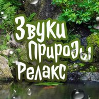 Звуки Природы Релакс Аватар автора