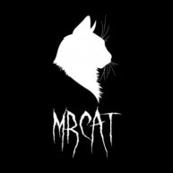 MrCat_228 Аватар автора