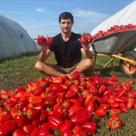 Тепличный бизнес в деревне! Аватар автора