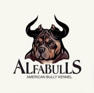 AlfaBullsKennel Аватар автора