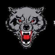 БРЯНСКИЙ VОЛК 🐺 Аватар автора