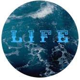 LIFE Аватар автора