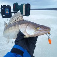 Вячеслав Владимирович Аватар автора