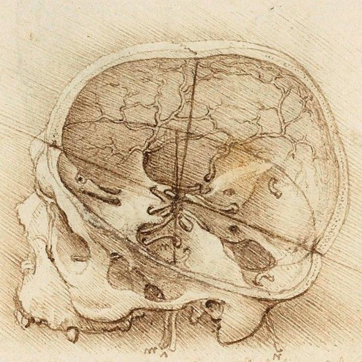 Остеопатическая гостиная Аватар автора