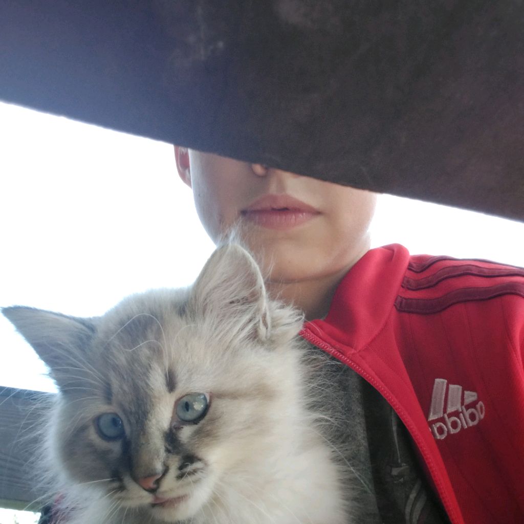 Аватар автора