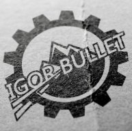Igor Bullet Аватар автора
