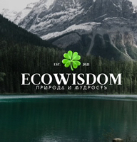 EcoWisdom Аватар автора