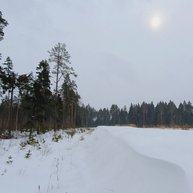 Дмитрий Навроцкий @ElkinVolkin Аватар автора
