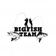 Big Fish Team Аватар автора