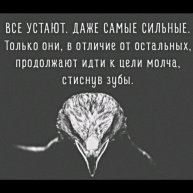 ЯДРО Аватар автора