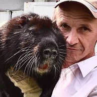 КУЗБАСС-НУТРИЯ Аватар автора