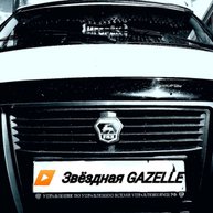 Звёздная Газель Аватар автора