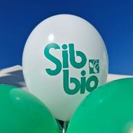 sibbio_ru Аватар автора