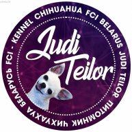 Питомник чихуахуа JudiTeilor FCI -  щенки чихуахуа Аватар автора