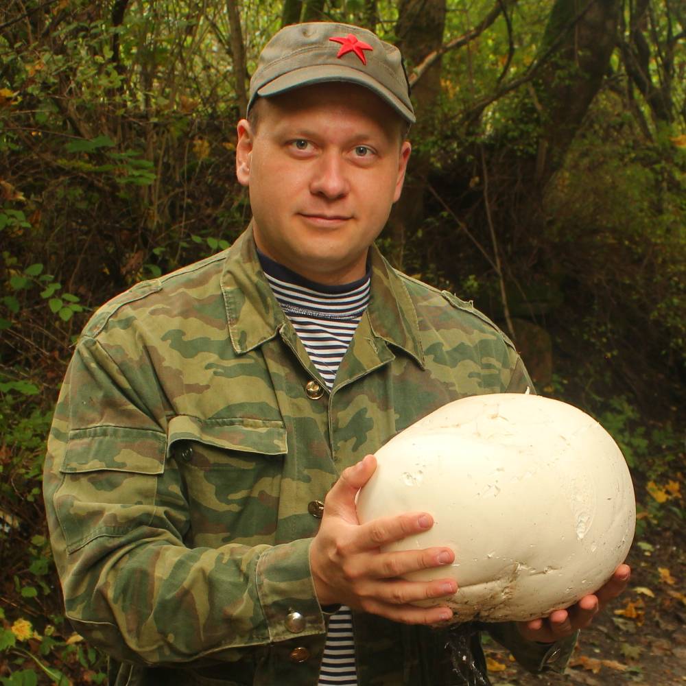 Аватар автора