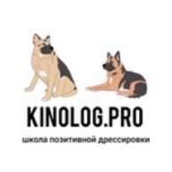 KINOLOG.PRO Аватар автора