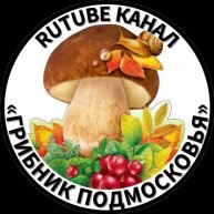 ГРИБНИК ПОДМОСКОВЬЯ Аватар автора