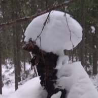 Поржать, поплакать, погрустить Аватар автора