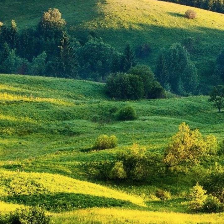 ТАКОЙ МИР Аватар автора