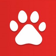 КОТЫ ЮТУБЕРЫ Аватар автора