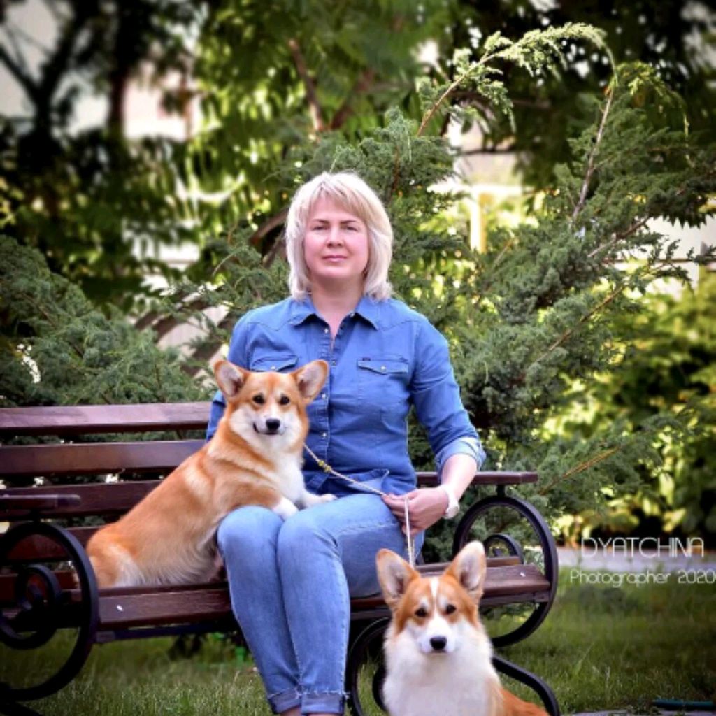 Аватар автора