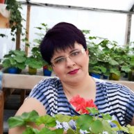 Комнатные цветы Берёзкиной Оксаны Аватар автора