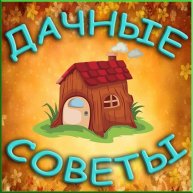 ДАЧНЫЕ СОВЕТЫ Аватар автора