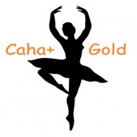 Сана+ золото Аватар автора