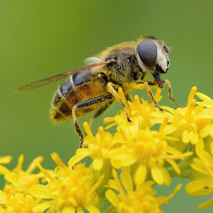 Сельский life Аватар автора