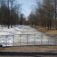 Plain Explanations Аватар автора