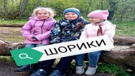 Шорики Аватар автора