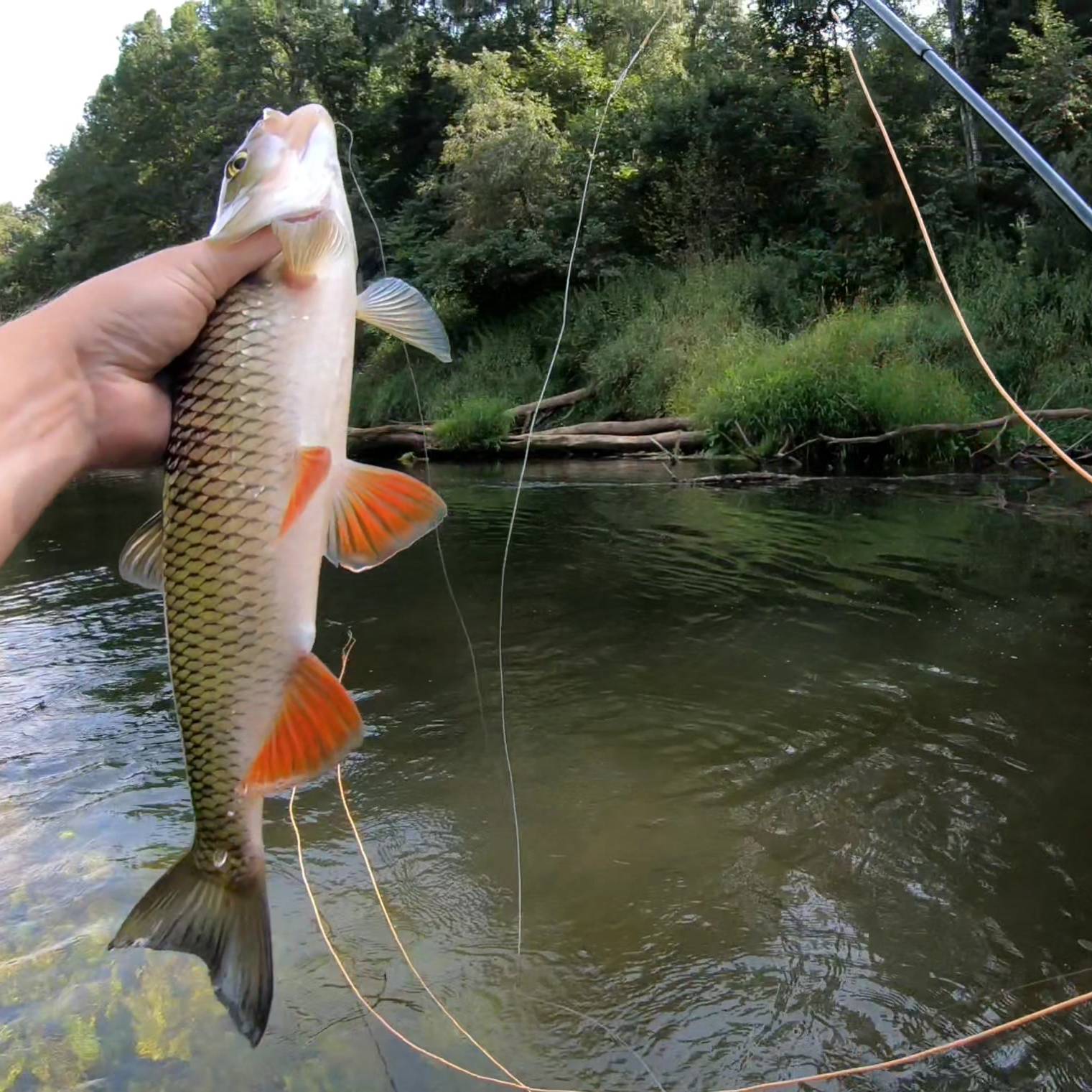 Рыбалка нахлыстом Аватар автора