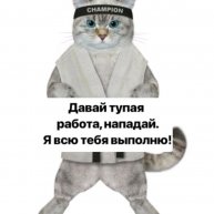 разные видео Аватар автора