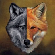 Wolfox Аватар автора